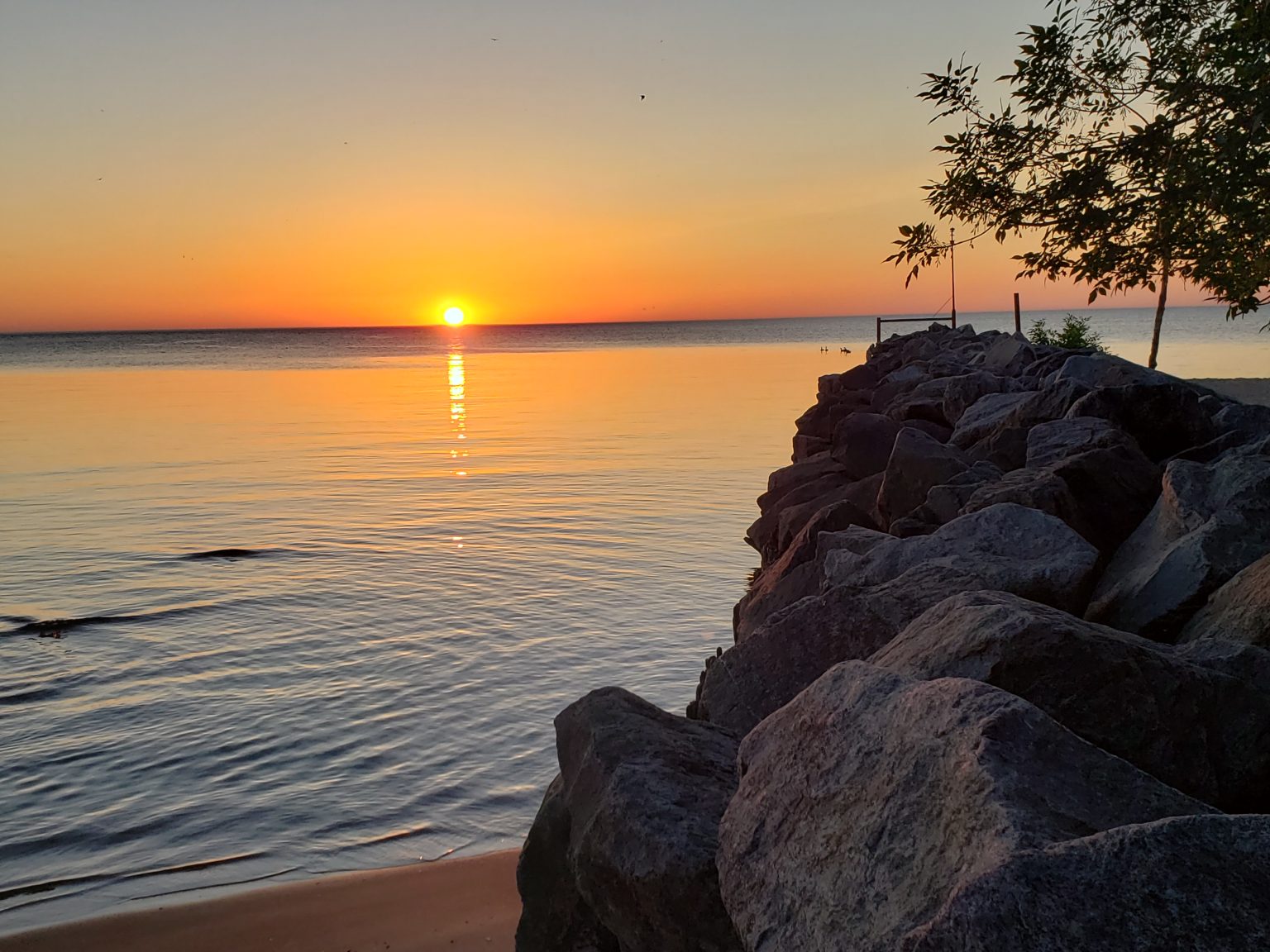 Align like the Planets – Summer Solstice – Greenleaf Communities